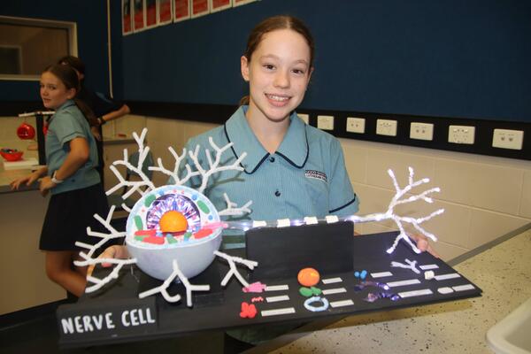 Year 8 Science - ExCELLent Models | Good Shepherd