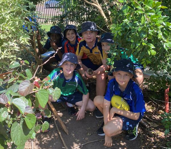 Bush Play a Hit for Palmerston Campus | Good Shepherd