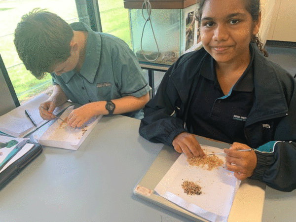 Mining for Choc Chips | Good Shepherd